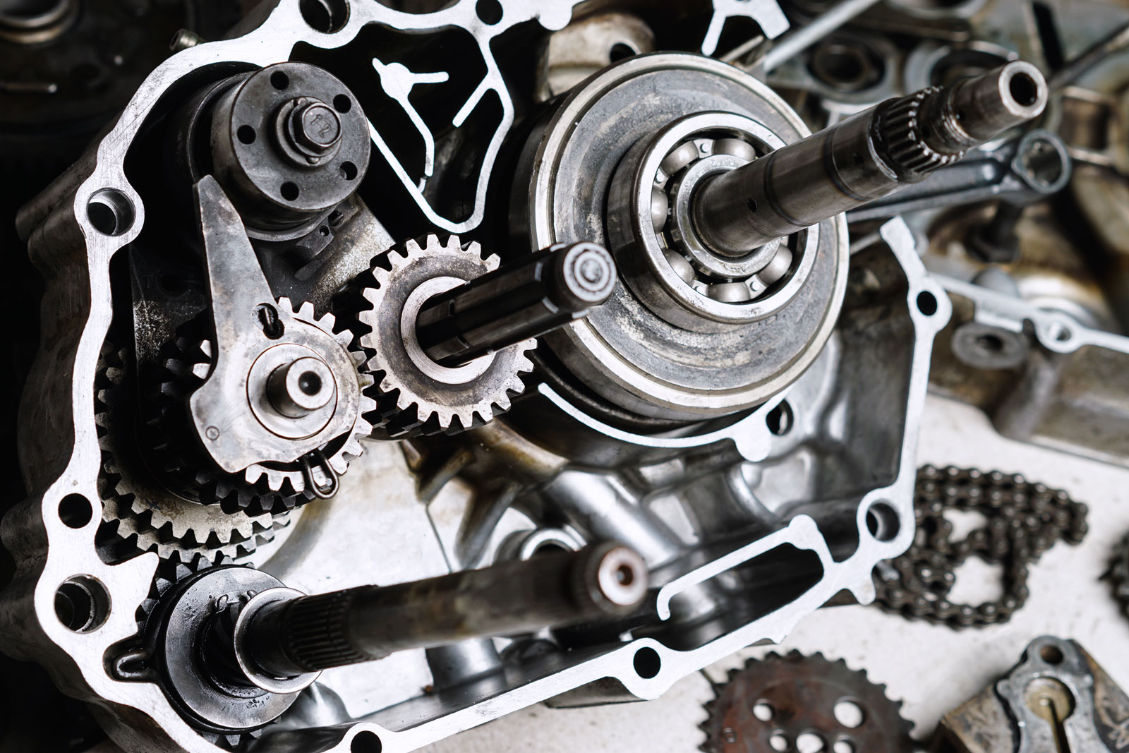 ibs Career pathways at a fully-fledged Industrial Bearings Supplier